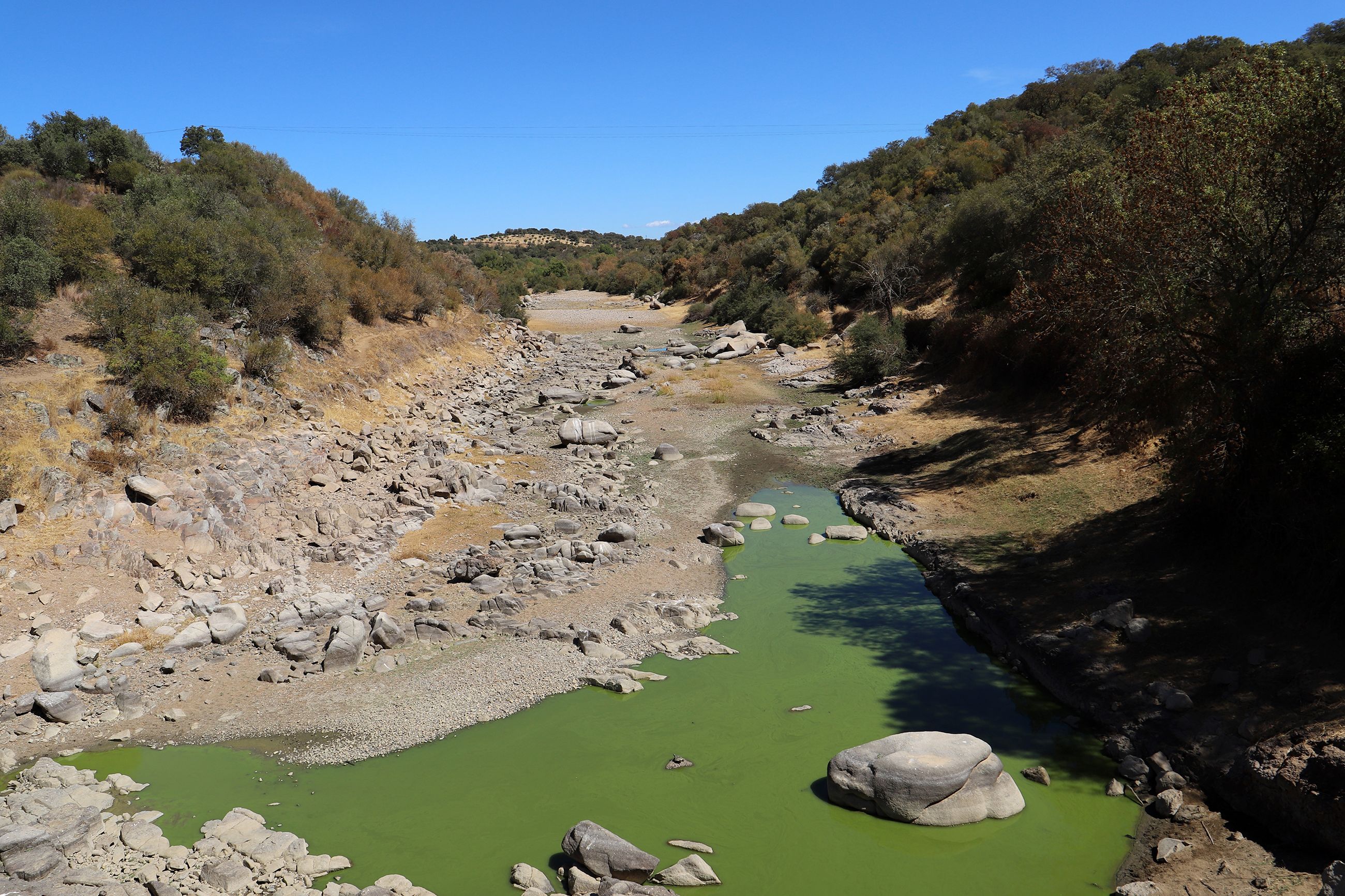 Fomos de uma ponta à outra do Tejo e chegámos a uma conclusão perigosa